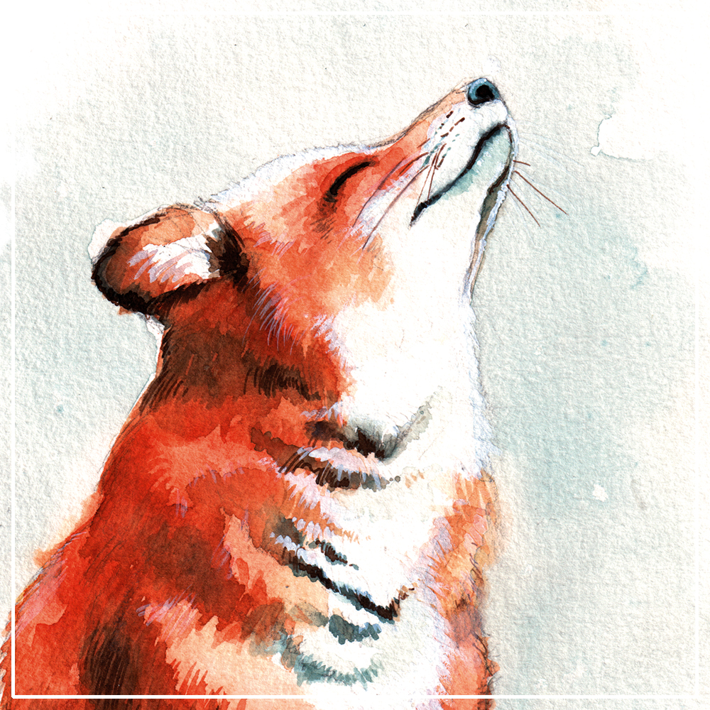 Le renardCarte - Illustration Morgil obsidiurne